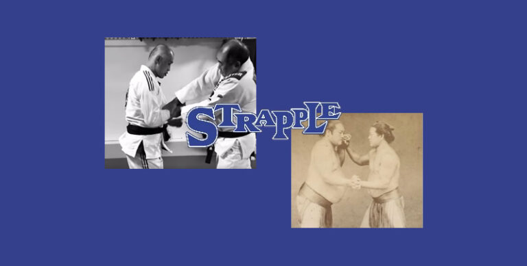 小指の口伝 ｜ TAIRA Naoyuki & STRAPPLE 柔術・武術