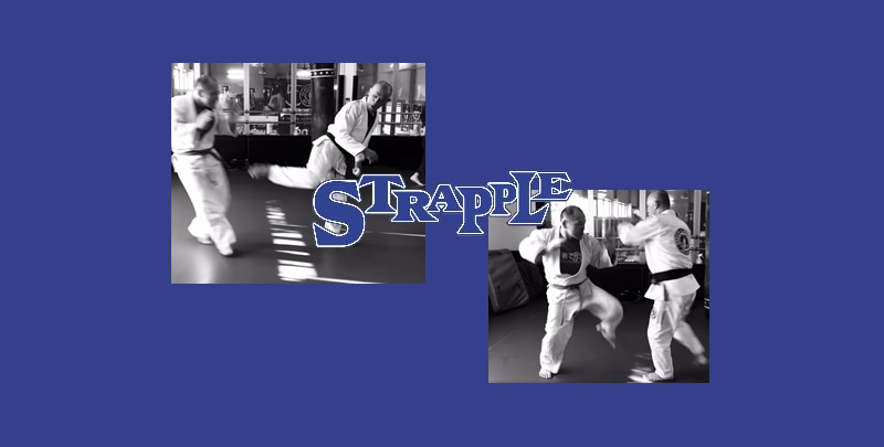 ストライク(打撃)と グラップリング(組技) ｜ TAIRA Naoyuki & STRAPPLE 柔術・武術