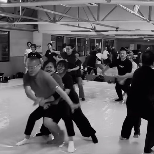 ゴリラ歩きには秘密が ｜ TAIRA Naoyuki & STRAPPLE 柔術・武術